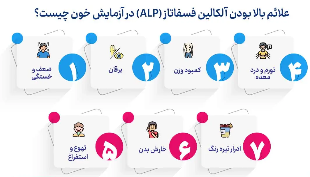 Alkaline Phosphatase در آزمایش خون چیست؟ + تفسیر آزمایش آلکالین فسفاتاز ...